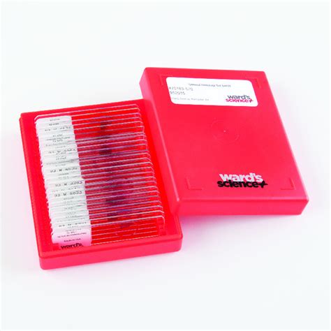 Introductory Histology Slide Set Prepared Slides