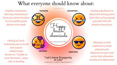 Learn Something Great About Happy Brain Chemicals Lady Prosperity