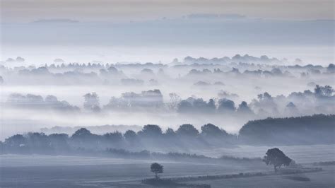2560x1440 Resolution Valley Fog Trees 1440p Resolution Wallpaper