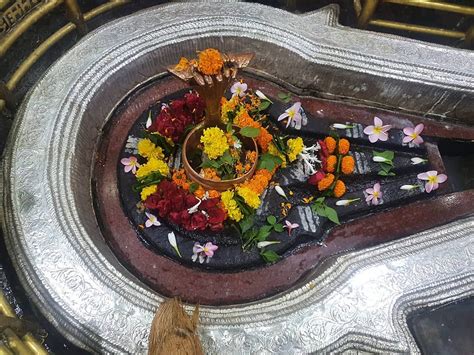 Bhimashankar Jyotirling Sacred Pilgrimage Guide Amar Granth