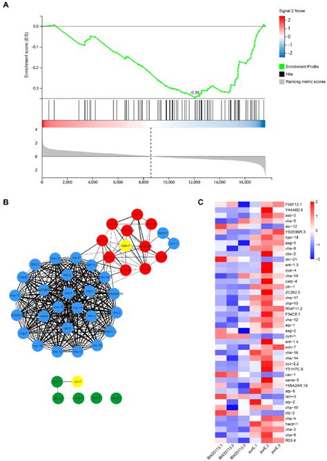 A Gsea Plot Of The Mtor Signaling Pathway All Genes Are Arranged Download Scientific Diagram