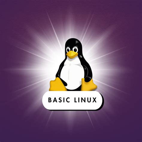 Playcode Lab Collection Tutorials Dojo