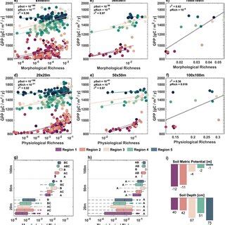 Forest Modeling Approach To Derive Forest Diversity And Productivity Download Scientific