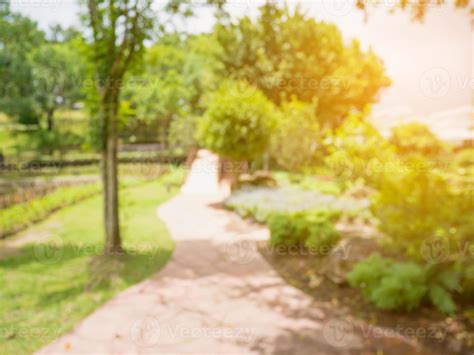 Walkway In The Flowers Garden Blur Background 11428268 Stock Photo At