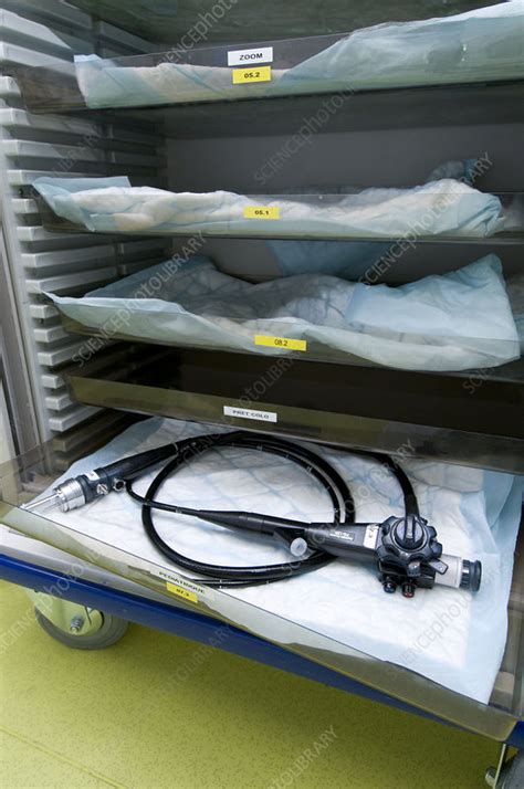 Endoscope - Stock Image - C006/3901 - Science Photo Library