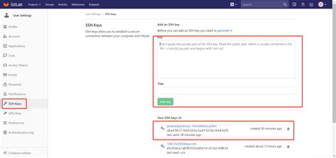 Docker Jenkins Pipeline配置ssh Key从gitlab拉取代码jenkins Pipeline Ssh Key Csdn博客