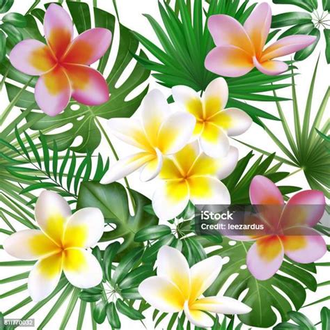 열 대 식물으로 원활한 이국적인 패턴입니다 팜 리프와 큰 Plumeria 꽃입니다 벡터 일러스트 레이 션 0명에 대한 스톡 벡터
