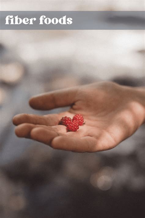 7 High Fiber Foods You Should Be Eating For Longevity Blue Roots