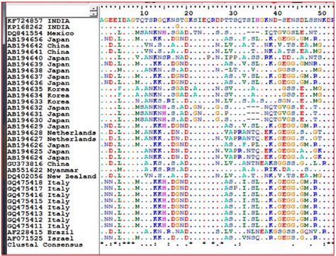 Multiple Alignment Of Coat Protein Cp Of 36 Leek Yellow Stripe Virus Download Scientific