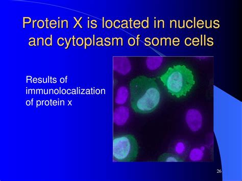 How To Prepare A Scientific Poster For Bios Ppt Download