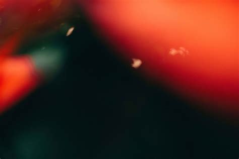 Without A Plane BOOOOOOOM CREATE INSPIRE COMMUNITY ART DESIGN MUSIC FILM