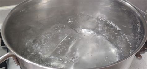 과즙이 풍부한 비파쨈