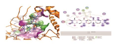 Views Of Molecular Docking And Information Of Ligands Interaction With