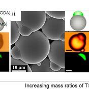 A Schematic Illustration On The Influence Of Particle S Aspect Ratio Download Scientific