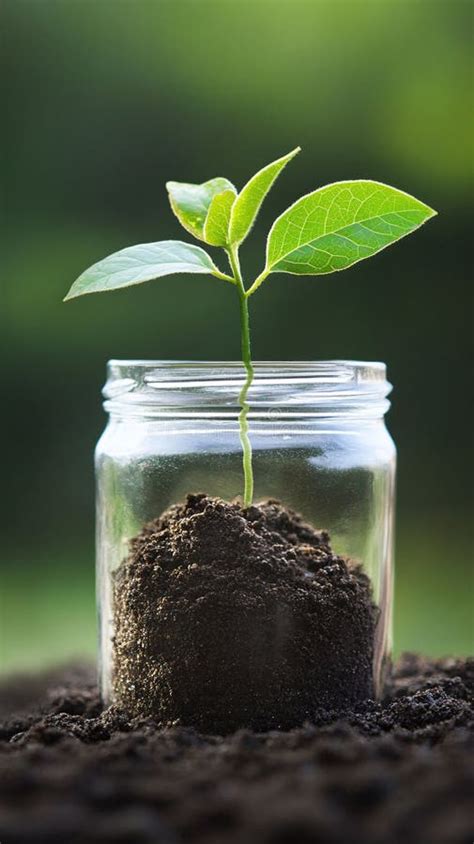 Young Adult Building An Emergency Fund Using Compound Interest
