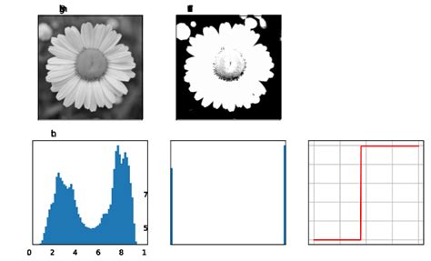 Histogram Transformations Basics Of Image Processing