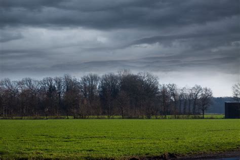 Free Images Landscape Tree Nature Grass Horizon Cloud Sky