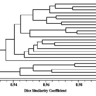 Dendrogram Generated Based On Upgma Clustering Method And Dice