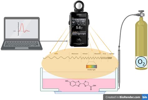 Bioluminescence Sensor Enzymes Reaction And Utilization As An Energy Source Extrica