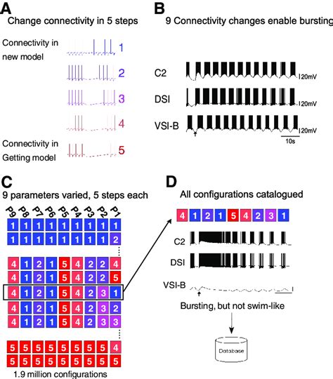 Construction Of A Large Scale Parameter Space Analysis Of Rhythmic Download Scientific Diagram