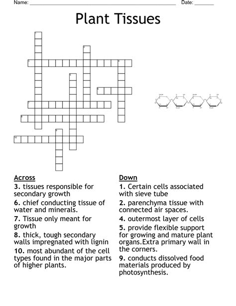 A Cells Word Search Wordmint