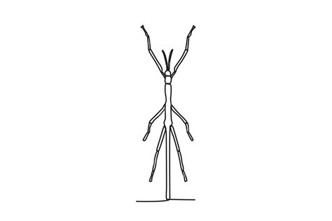 Um Desenho De Linha única E Contínua De Um Bicho Pau Para A Identidade