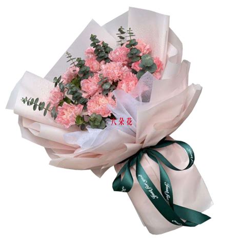 12朵粉色康乃馨，幸福的梦境 六朵花