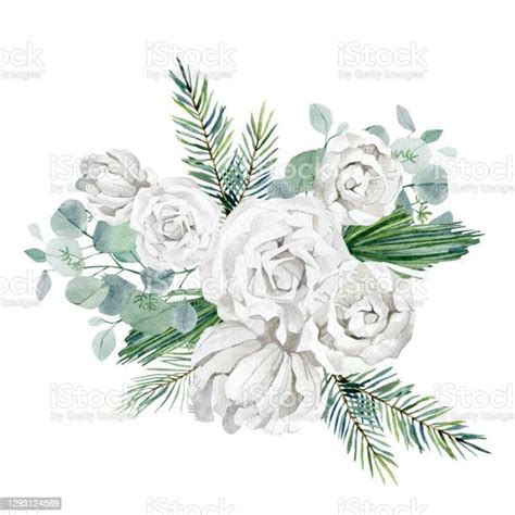 수채화 겨울 화이트 꽃 다케 부드러운 장미와 모란 유칼립투스 가지 겨울 녹지 전나무 나무 가지 단풍과 나뭇 가지는 그레트 카드