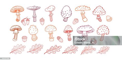 독 버섯 파리 Agarics 오크 잎과 도토리의 집합입니다 낙서 그림입니다 선 그리기 광대버섯에 대한 스톡 벡터 아트 및 기타