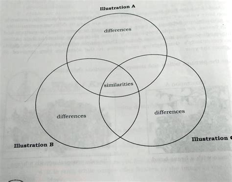 SOLVED Illustration A Differences And Similarities Illustration B