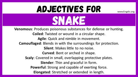 20 Best Words To Describe A Snake Adjectives For Snake Engdic