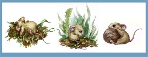 Mice By Alteya On Deviantart