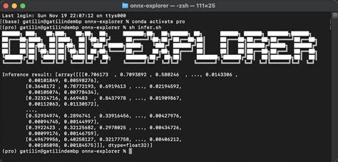 Github Islinxuonnx Explorer Onnx Explorer More Features