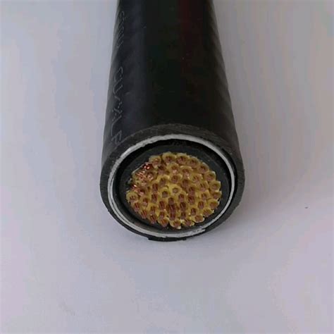 Dcsscadaesdpmssis System Control Cable View Dcs Control Cable