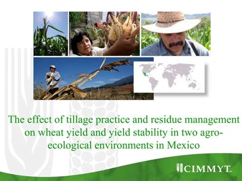 The Effect Of Tillage Practice And Residue Management On Wheat Yield