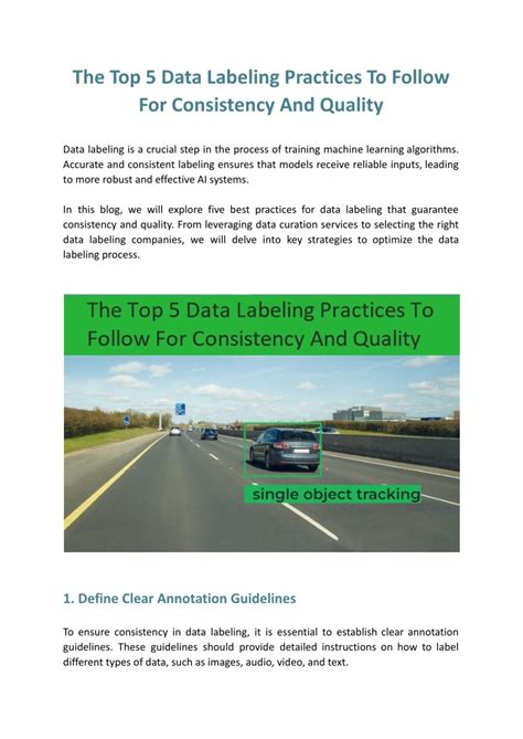 Ppt The Top 5 Data Labeling Practices To Follow For Consistency And