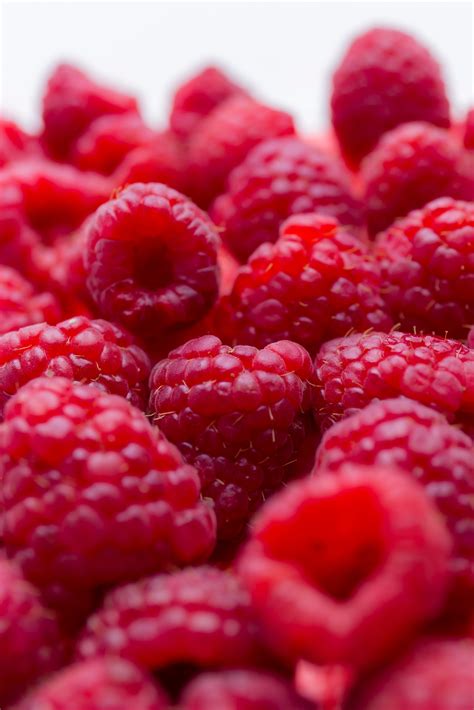 Red Raspberry Candle Fragrance Oil Wicks And Wax