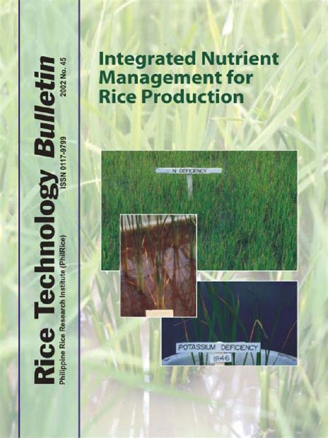 Integrated Nutrient Management For Rice Production Pdf Rice Plant