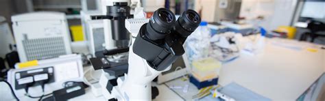 Regulatory Consultancy Xcellr8