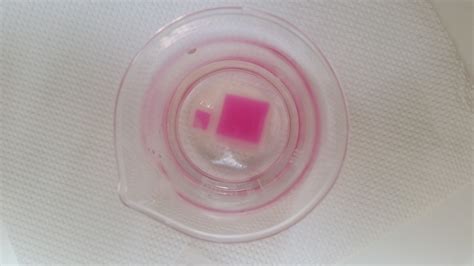 SLHE Science April Agar Diffusion Volume And Surface Area