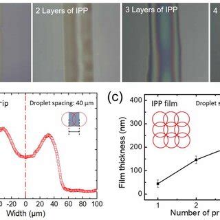 A Optical Microscope Photographs Of The IPP Of Different Layers B Download Scientific