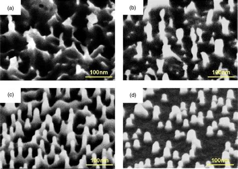sem images with 40 tilt angle of neutral beam etched gaas