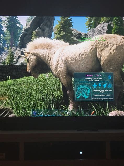 Finally Found The Unicorn R ARK