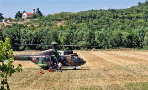 Около 100 горски служители и пожарникари гасят пожара в иглолистните гори в землището на с