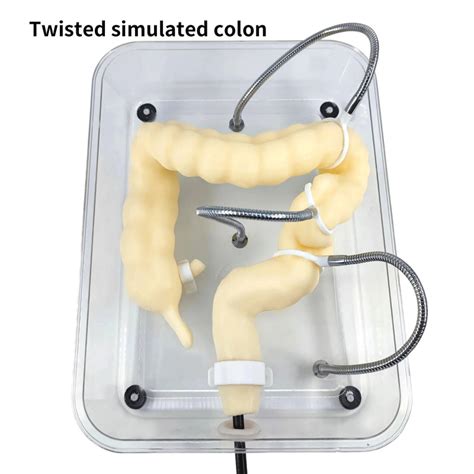 Soft Colonoscopy Training Model Simulator For Medical Surgery Practice
