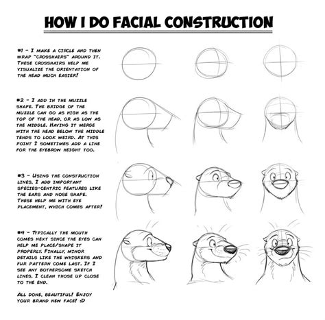 Face Construction Drawing At PaintingValley Explore Collection Of Face Construction Drawing