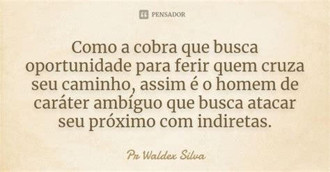 Como A Cobra Que Busca Oportunidade Para Pr Waldex Silva Pensador