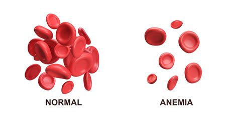 3d Fluir Rojo Sangre Células Hierro Plaquetas Eritrocitos Normal Y