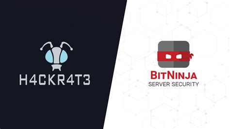 bitninja bug bounty program after the first week of testing hackrate blog