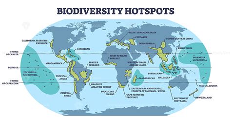 Biodiversity Hotspots With Life Species Variety On World Map Outline